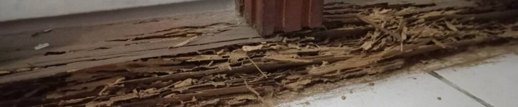 Bay Area Termite Inspections Northern California - HomeGuard